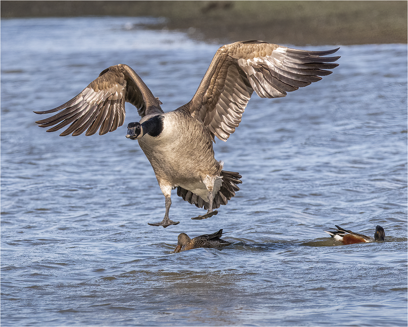 Kevin Morgan – Cwmbran Photographic Society